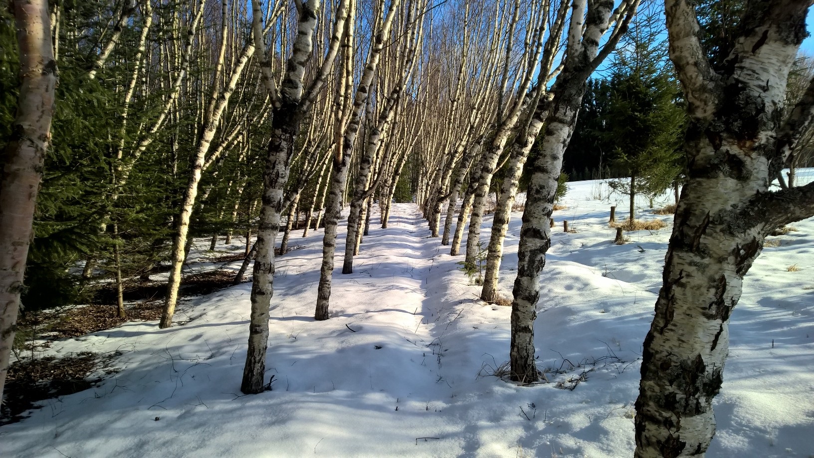 Visakoivu Nakkila2 – Visaseura ry