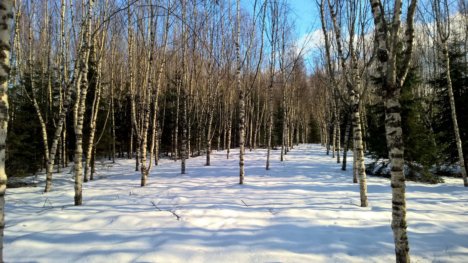 Visakoivu Nakkila3 – Visaseura ry